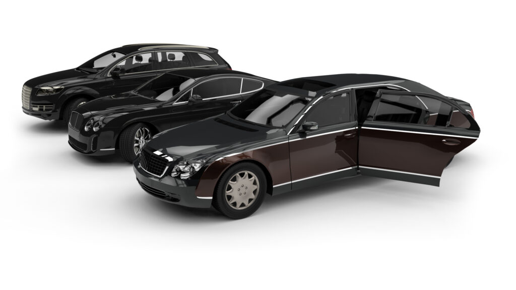 Light passenger transport software - WAY-Plan